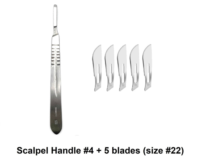19 Piece Dissecting Kit Including Scissors, Forceps, Scalpel, and Prob ...