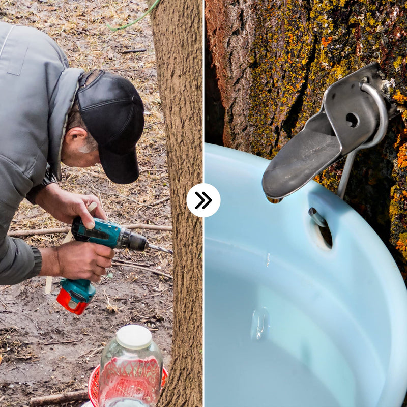 Maple Syrup Tree Tapping Kit - Includes (2) Maple Syrup Spiles and Map ...
